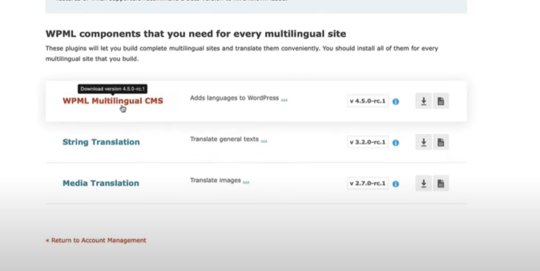 How to set up WPML Plugin? | TRAVELER THEME